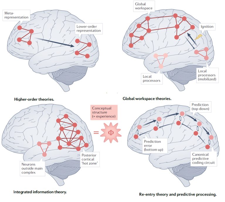 The Brain from Top to Bottom Blog – Intermediate Level » Theories of consciousness